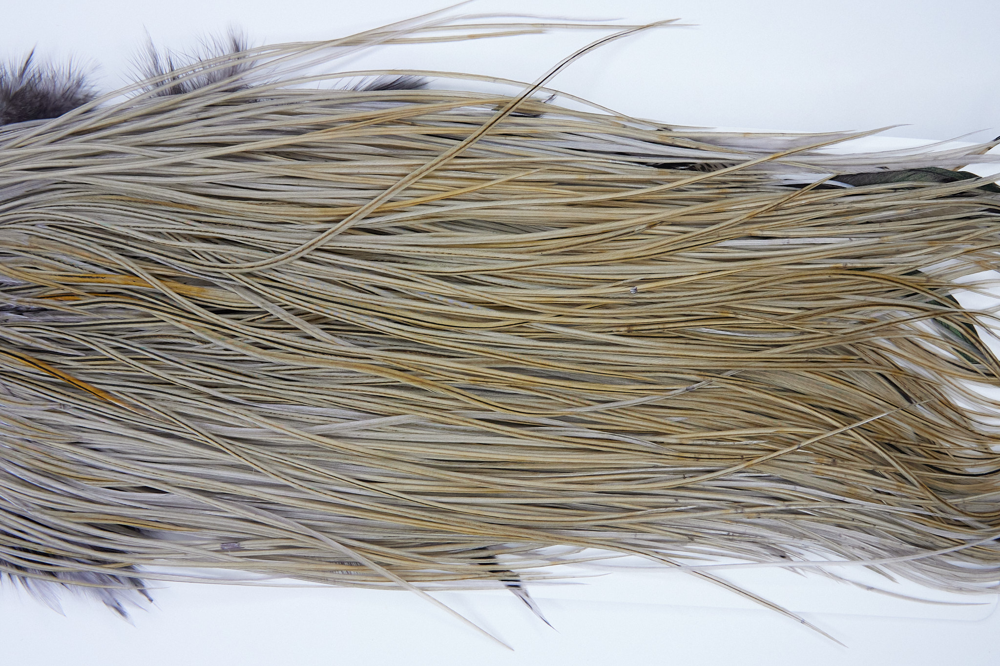 1650 Whiting Pro Grade Midge Saddle Variant Ties Sizes 16-18 - JimsFlyCo