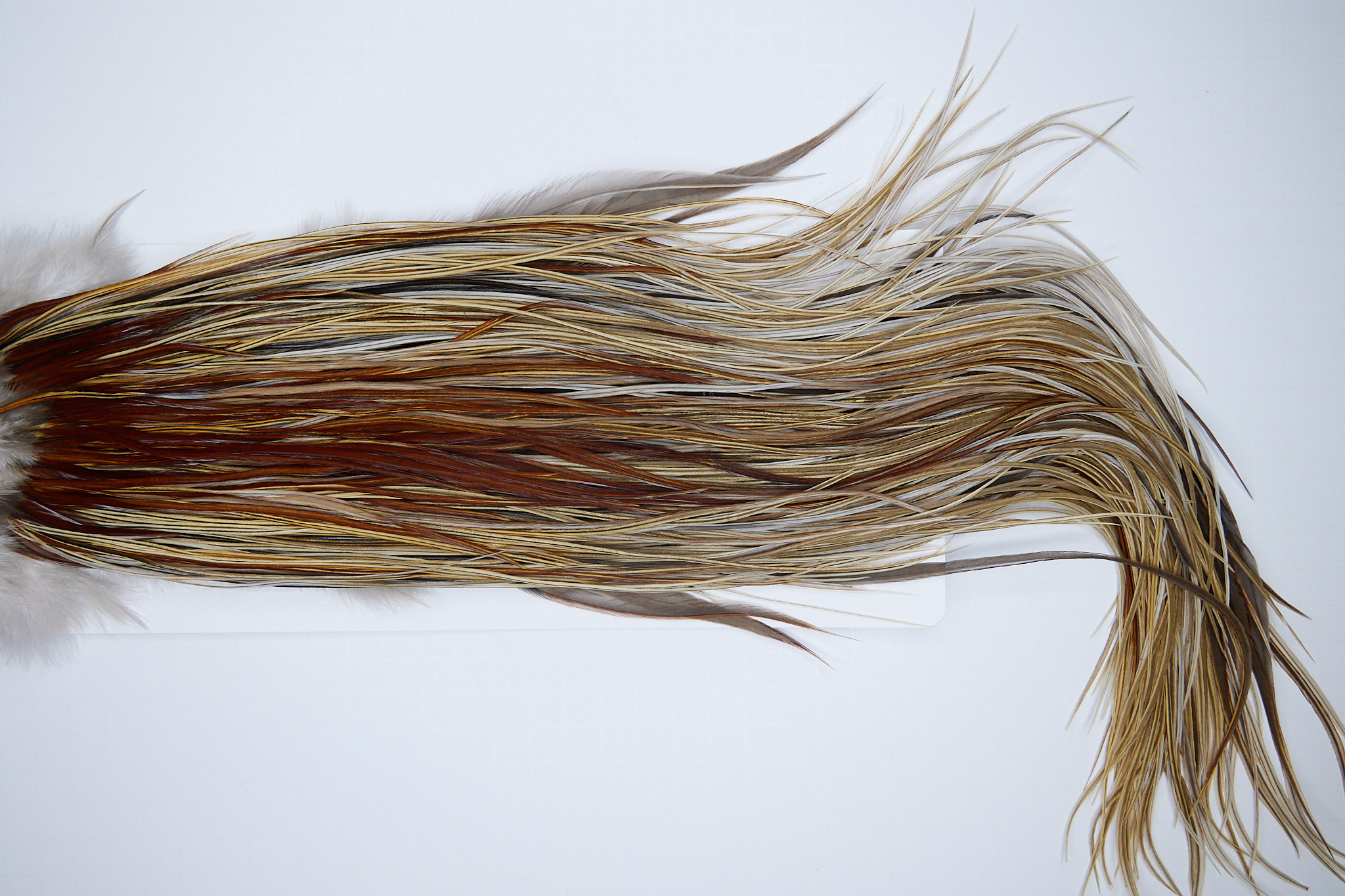 1844 Heritage Variant #1 Grade Rooster Saddle, Ties Sizes 12-14 - JimsFlyCo