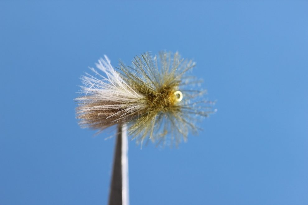 Cdc Caddis Olive Jimsflyco