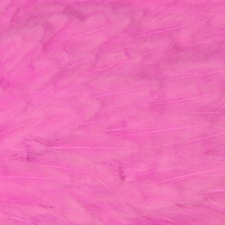 American Pink Hen Capes and Saddles