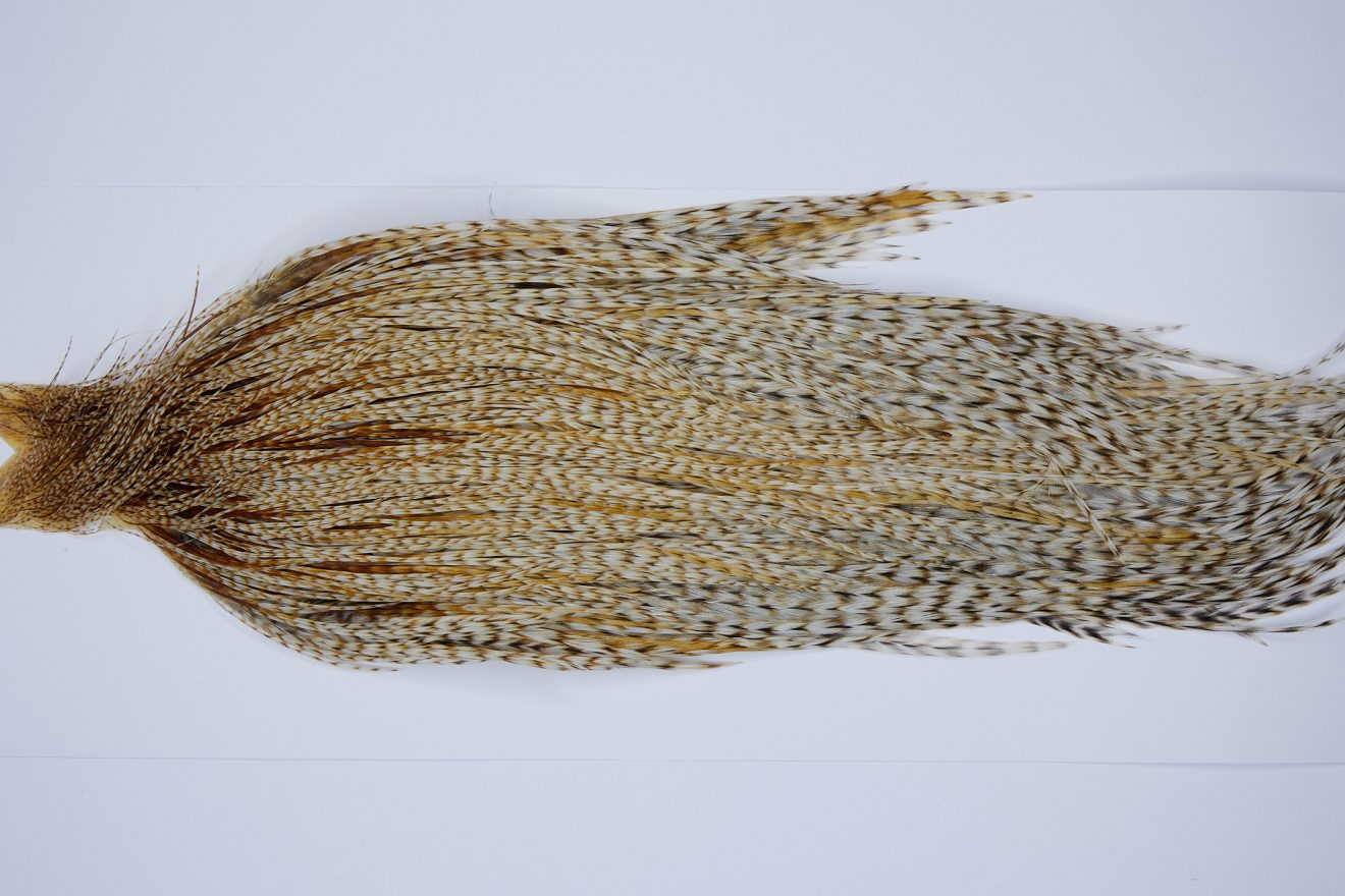 JimsFlyCo Barred Ginger Rooster Capes and Saddles