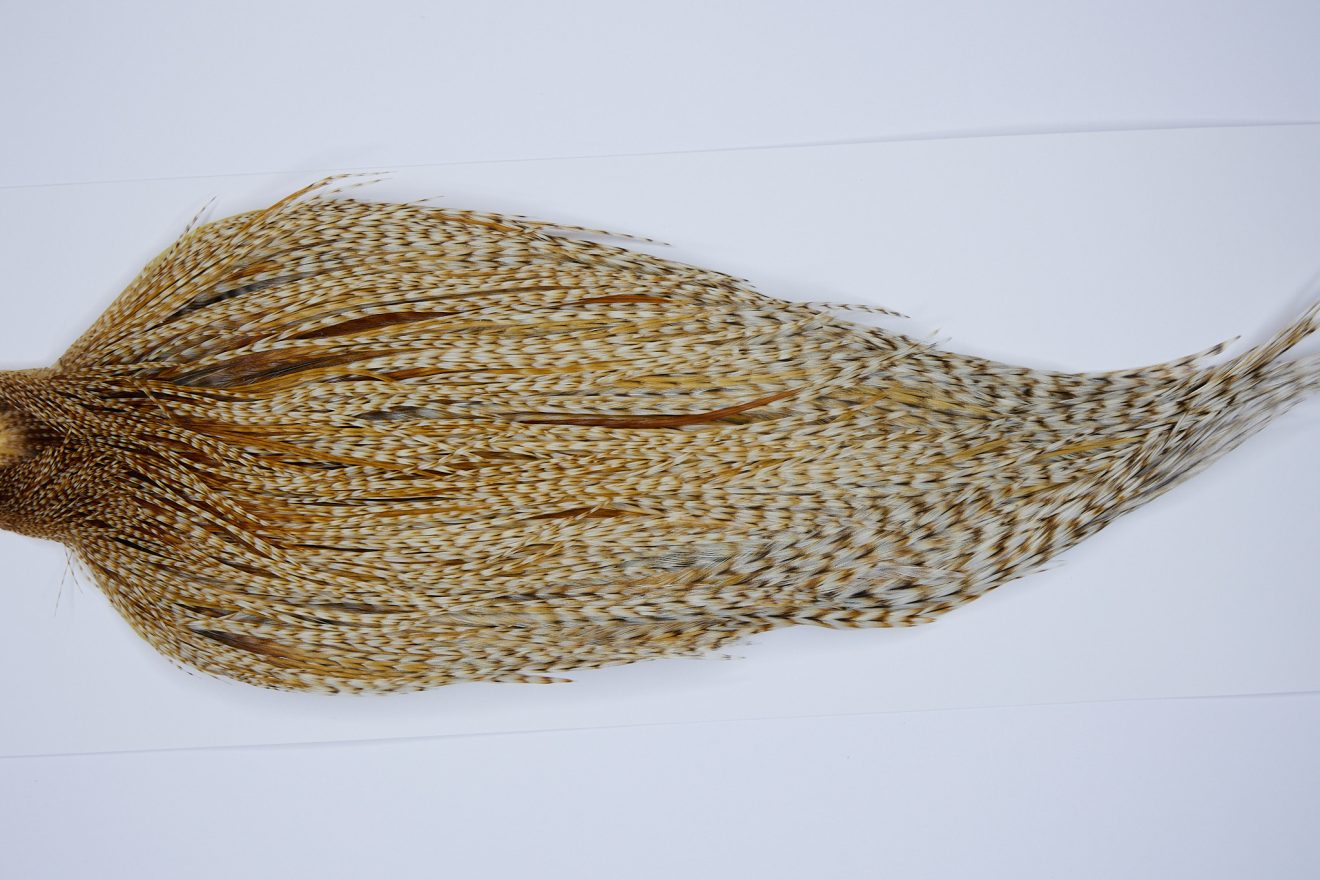 JimsFlyCo Barred Ginger Rooster Capes and Saddles