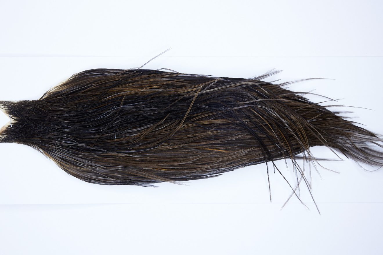 Brown Dun Rooster Capes and Saddles Color Wall