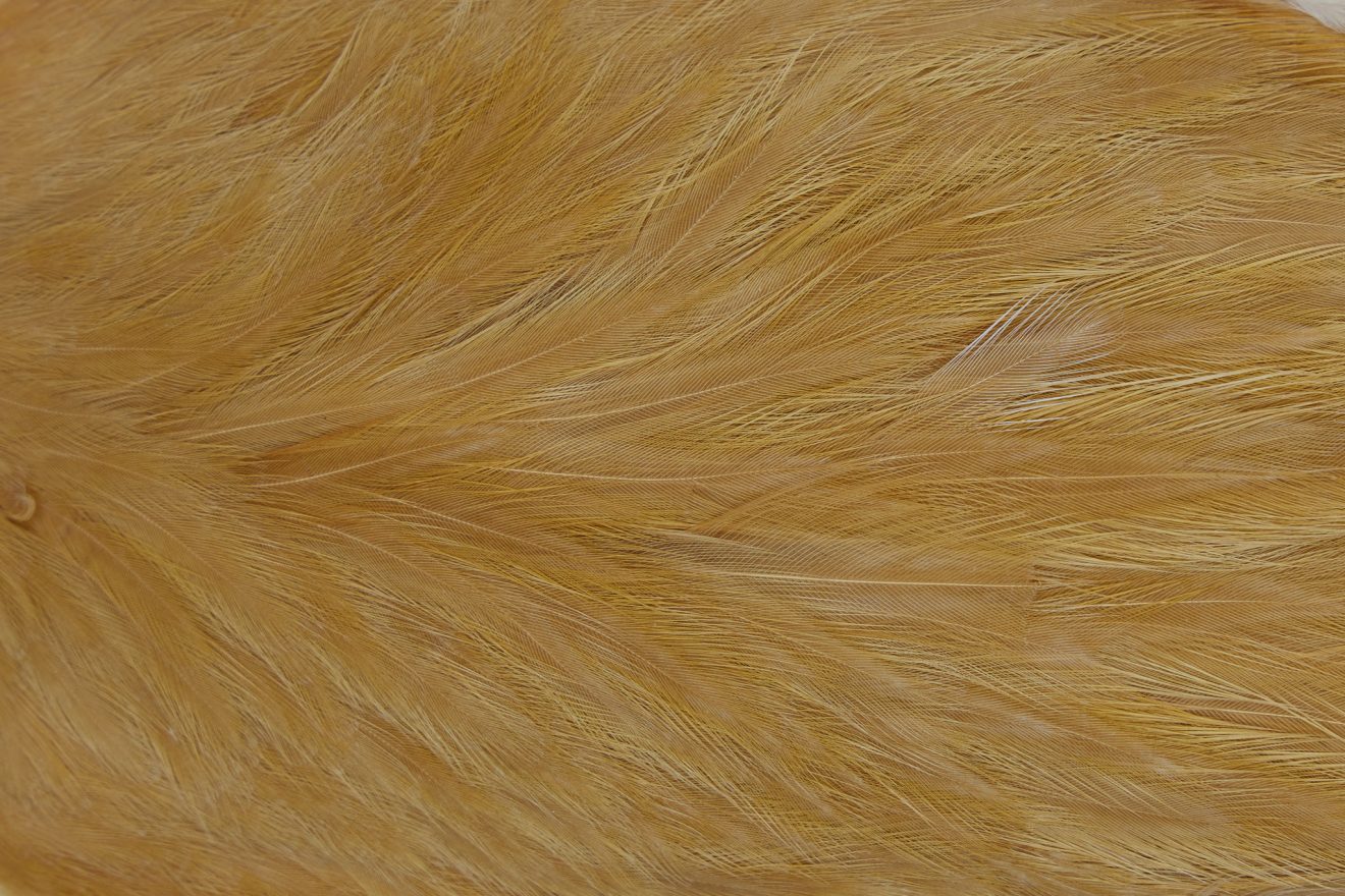 American Medium Ginger Hen Capes and Saddles