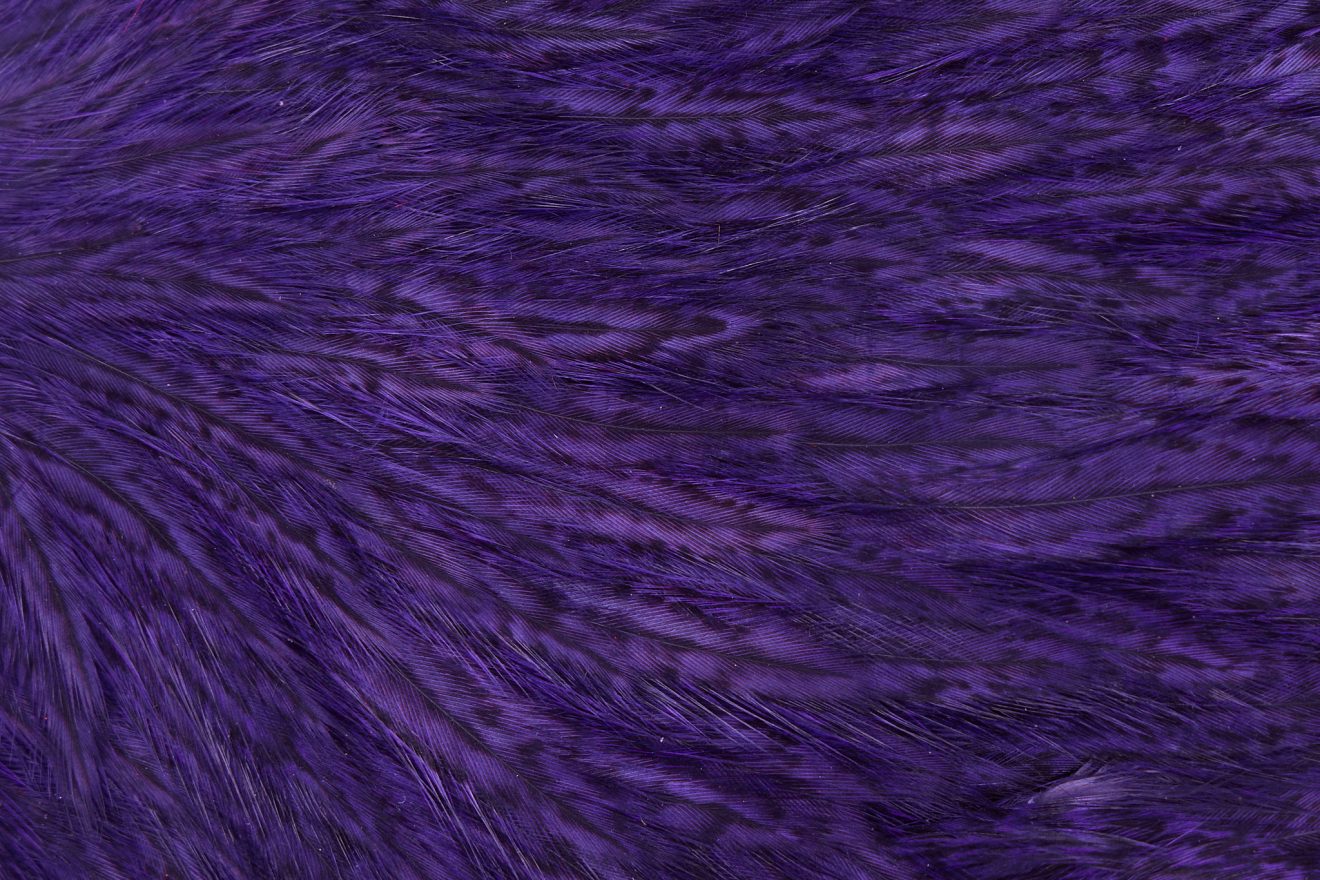 Coq De Leon Speckled Purple Hen Capes and Saddles