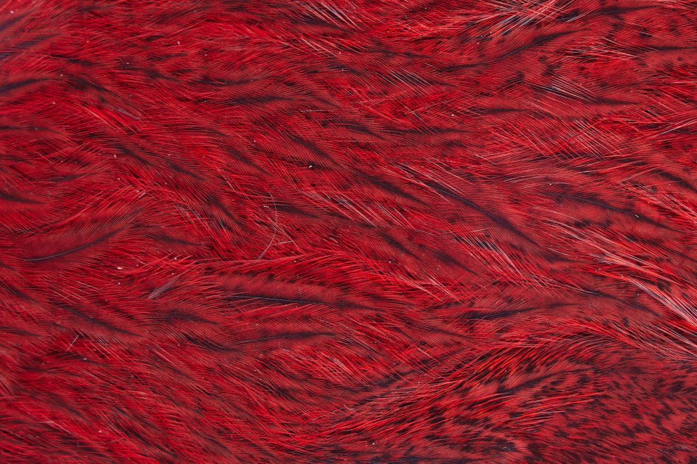 Coq De Leon Speckled Red Hen Capes and Saddles