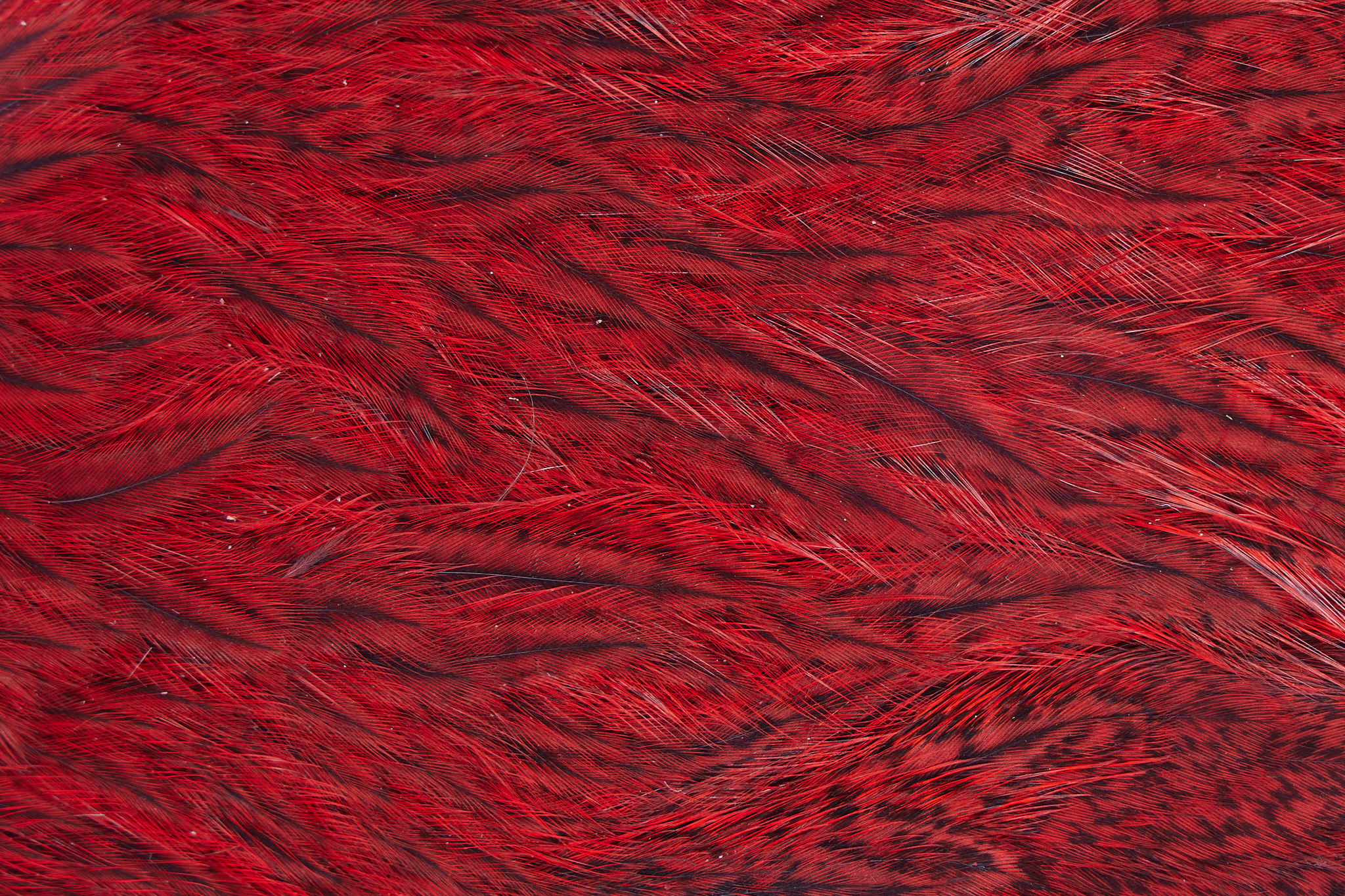 Coq De Leon Speckled Red Hen Capes and Saddles