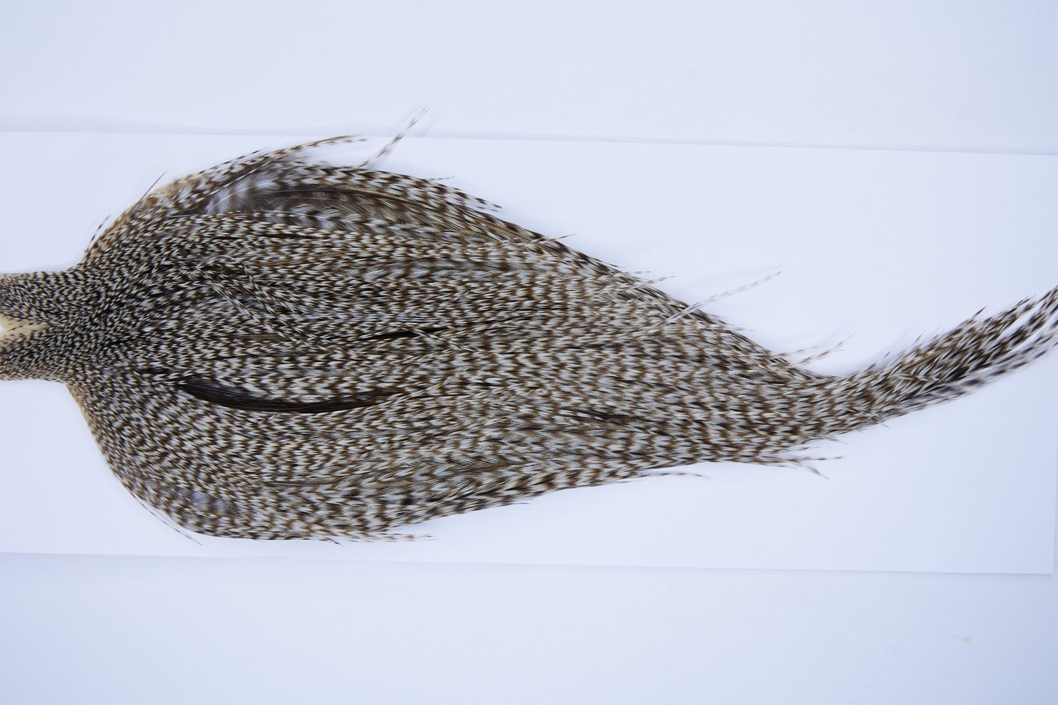 JimsFlyCo Grizzly Dun Variant Rooster Capes and Saddles