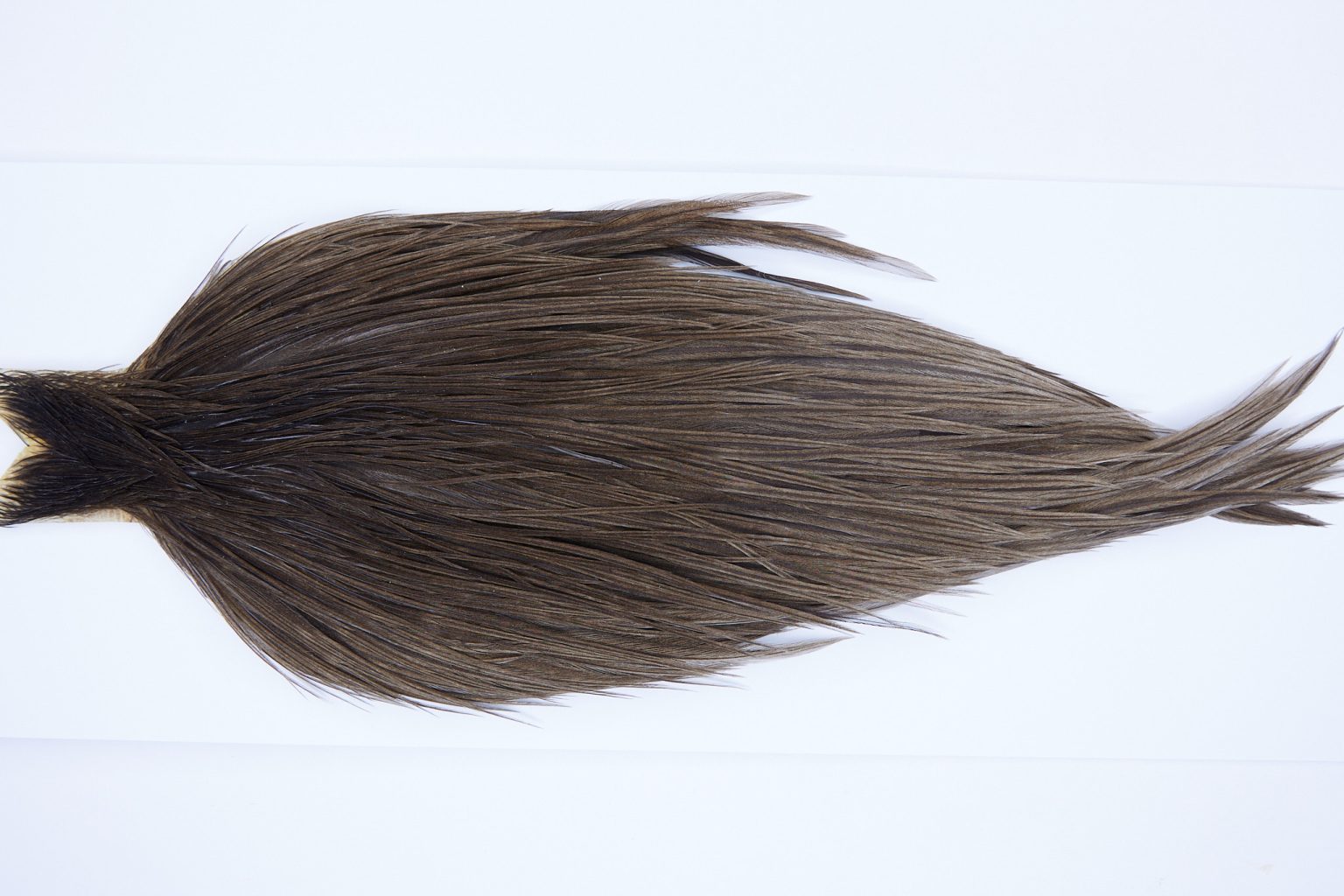 Grey Dun Rooster Capes and Saddles Color Wall
