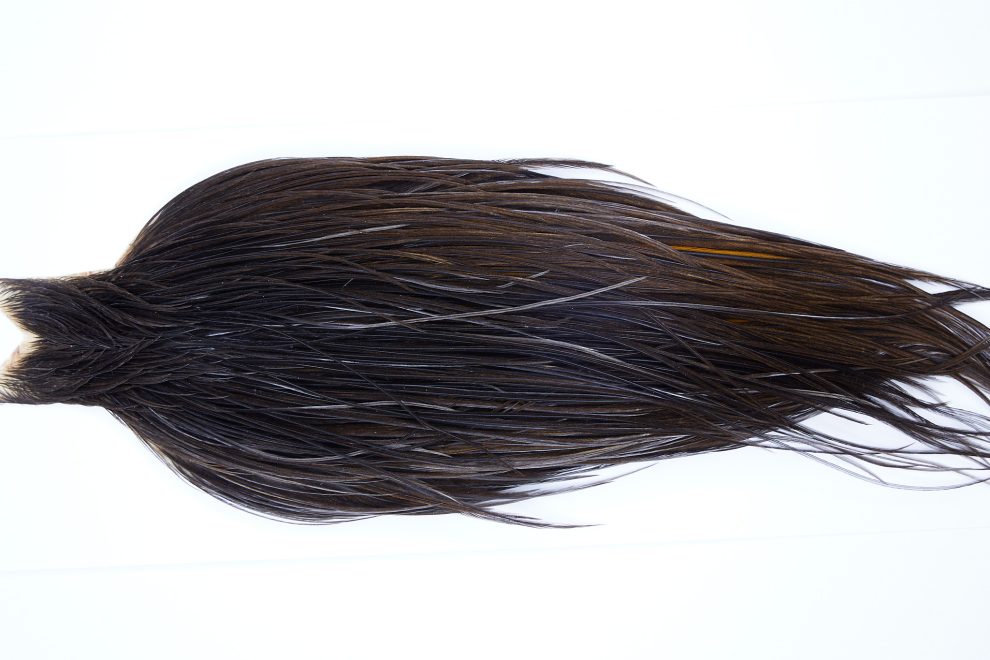 Brown Dun Rooster Capes and Saddles Color Wall