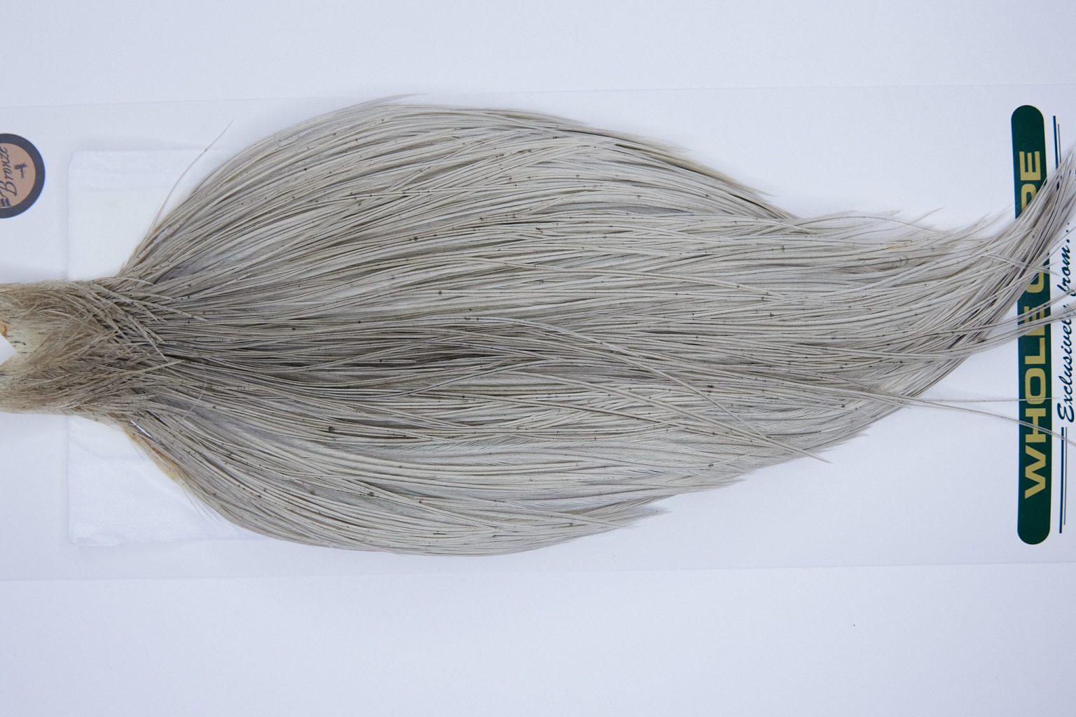 Light Grey Dun Capes and Saddles Color Wall