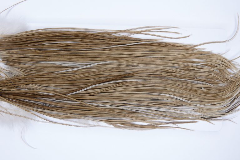 Medium Brown Dun Capes and Saddles Color Wall