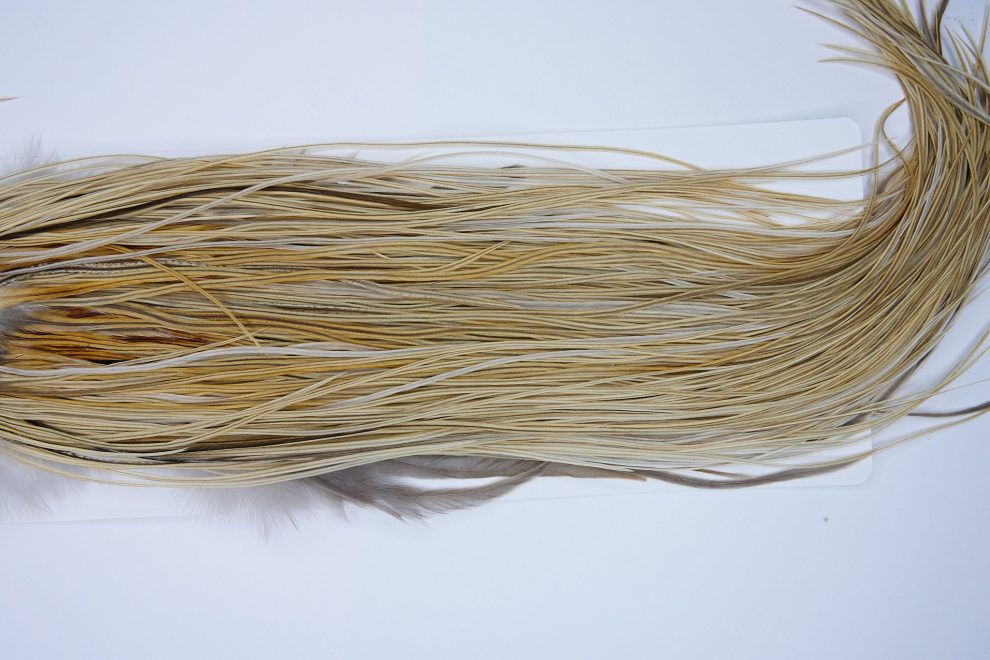 Honey Dun Capes and Saddles Color Wall