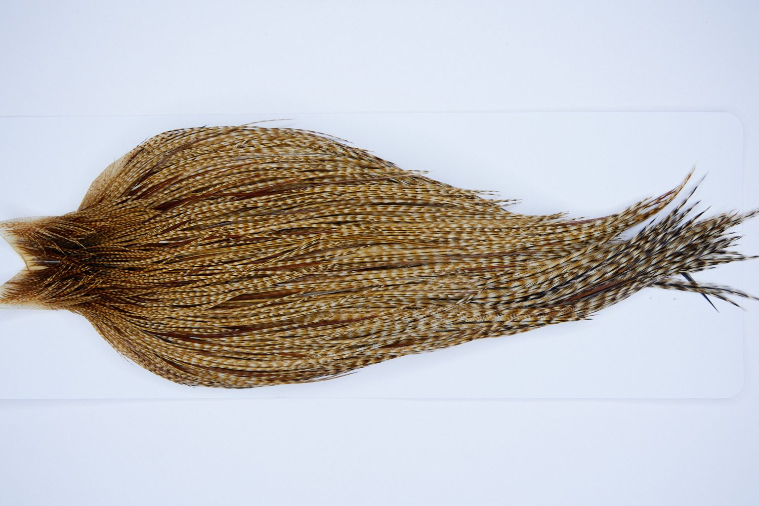 Yellowstone Barred Ginger Rooster Capes and Saddles