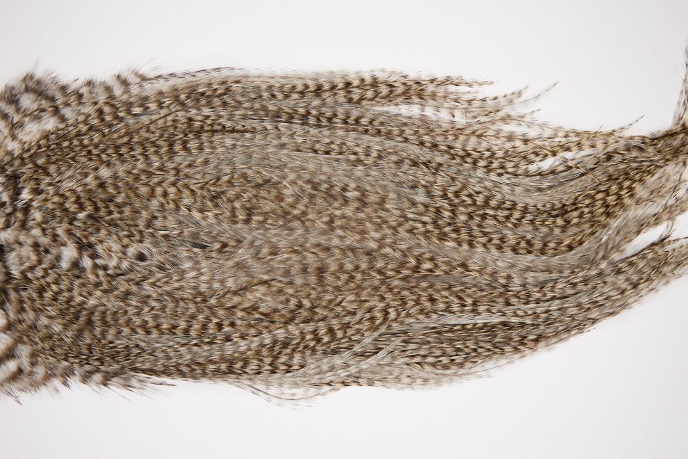Shop Whiting Grizzly Dry Fly Capes and Saddle Hackle - JimsFlyCo