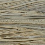 Yellowstone Light Ginger Dun Rooster Capes and Saddles