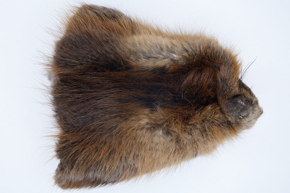 JimsFlyCo. - Beaver Mask, Natural - JimsFlyCo