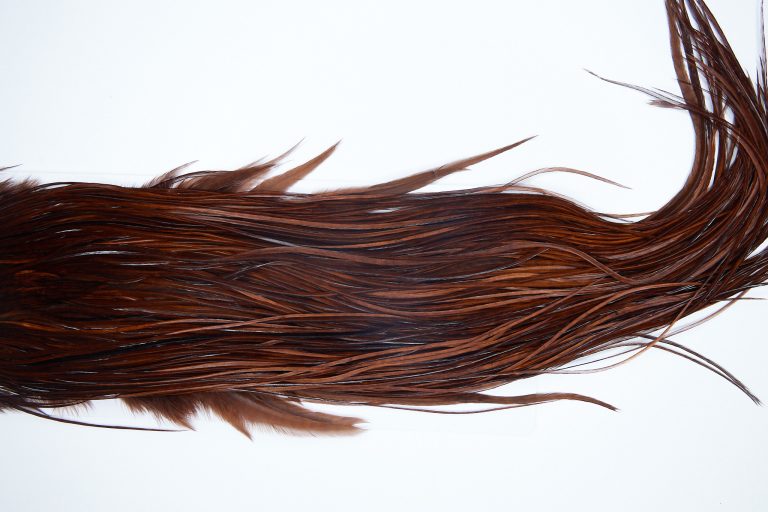 Shop Whiting Coachman Brown Dry Fly Capes and Saddles