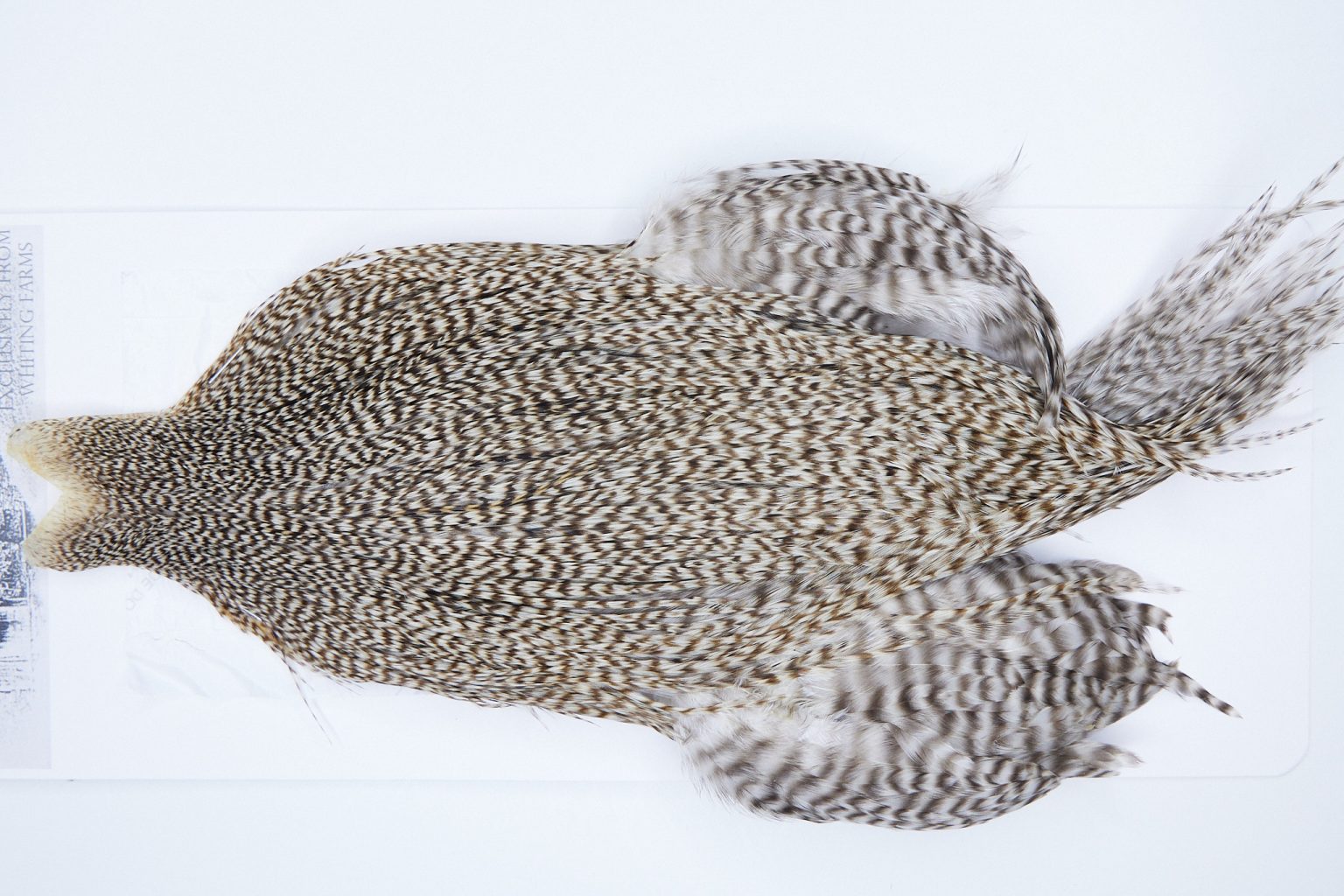 Beaverkill Dun Grizzly Rooster Capes and Saddles