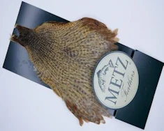 Metz Hen Capes and Saddles