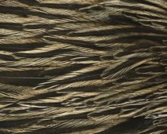 High and Dry Golden Badger Rooster Capes and Saddles